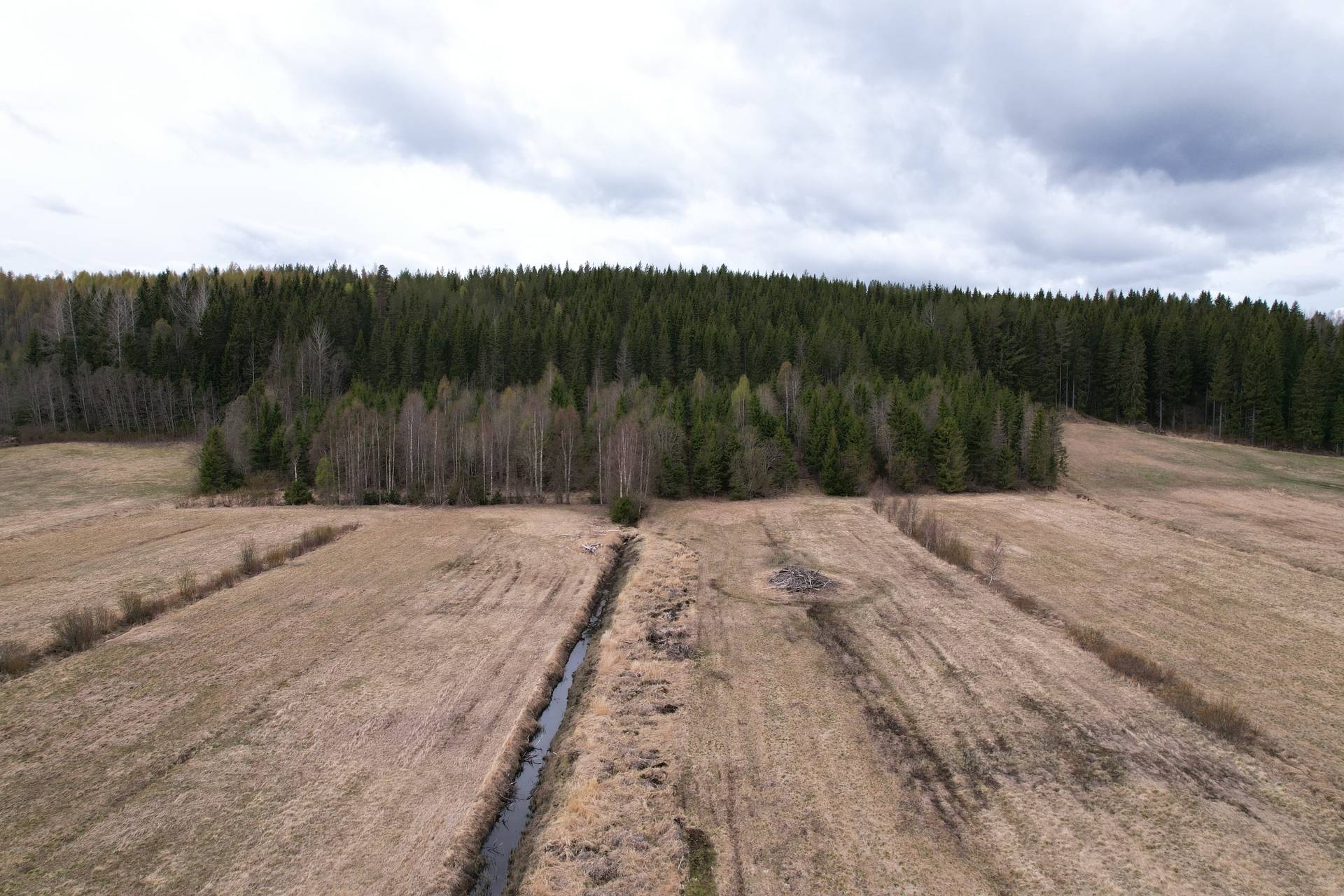 Nordmaling Gräsmyr 5:34, Nordmalings kommun - Skogsfastigheter.se